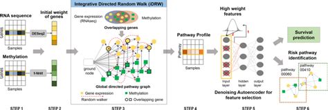 Overview Of The Proposed Integrative Pathway Based Survival Prediction