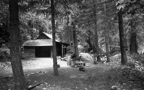 Miners Cabin On Road To Brandy City California Sv 449 — Calisphere