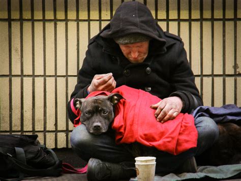 Gemeente Legt Uit Waarom Stichting Dakloos Apeldoorn Zonder Pand Zit