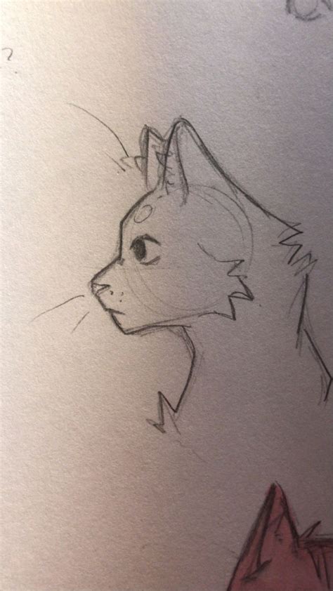 Cat Side Profile Cat Sketch Cat Drawing Tutorial Cats Art Drawing