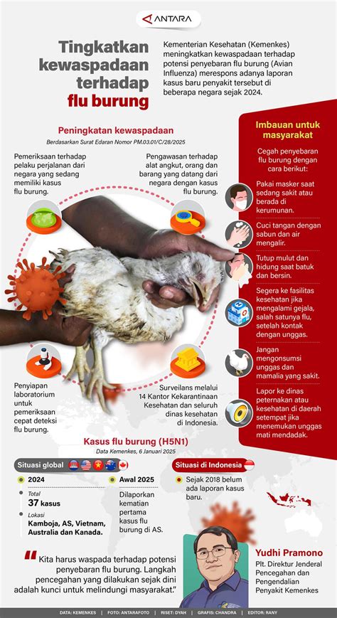 Tingkatkan Kewaspadaan Terhadap Flu Burung Infografik Antara News