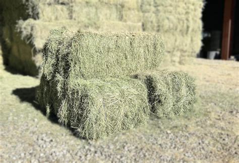 Alfalfa Grass Mix Hay Plus Farms Arizona