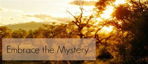 Embrace The Mystery Prayer Coach