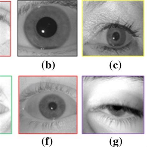 unconstrained iris images a reflection b motion blur c contrast