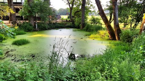 Lahnwanderweg 01 Etappe Lahnquelle Feudingen • Wanderung Die