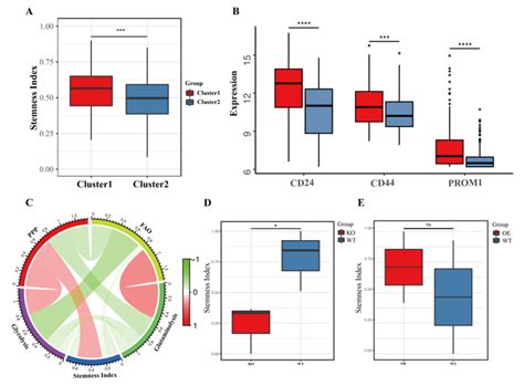 Ppp Activity Regulates The Stemness Of Cancer Cells A Quantification Download Scientific