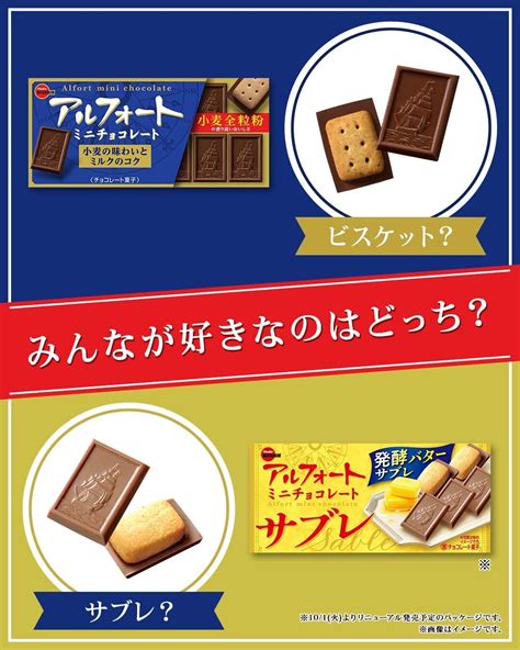 ブルボン（bourbon） ˚⊹⁺‧┈┈┈┈┈┈┈┈┈‧⁺ ⊹˚ みんなが好きなのはどっち🤔 アルフォートミニチョコレート ビスケット？🔁 Or サブレ？ ˚⊹