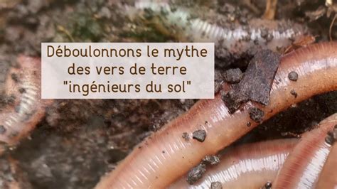 Déboulonnons Le Mythe Des Vers De Terre « Ingénieurs Du Sol