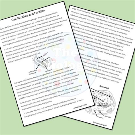 Prokaryote Vs Eukaryote Cell Structure Activity Reading Discussion And Notes