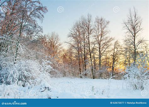 Hoarfrost On Branches Stock Image Image Of Landscape 62672077