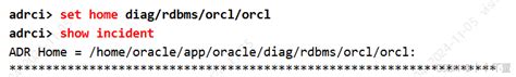 oracle故障诊断（一线dba必备技能）之adrci（五）：adrci综合应用 oracle adrci csdn博客
