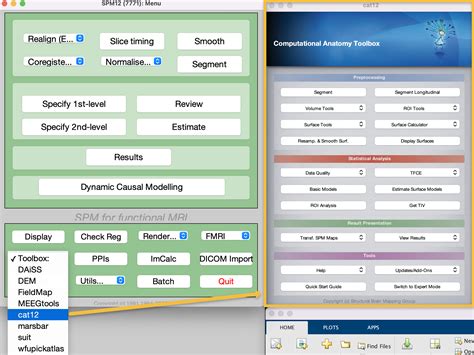 Cat12 Tutorial 1 Download And Install — Andys Brain Book 1 0