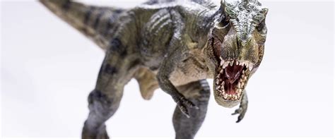 Strelets Plastic Model Kits Wonderland Models