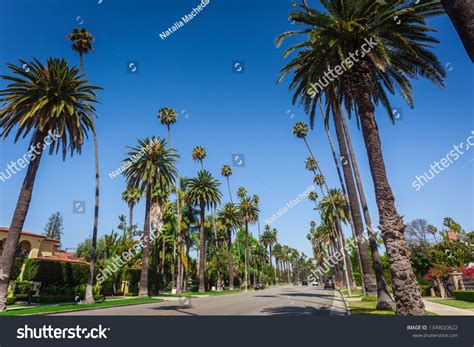 What Is The Famous Street In Beverly Hills At David Jasmin Blog