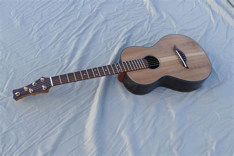 P1260647 Eric Schaefer Guitars