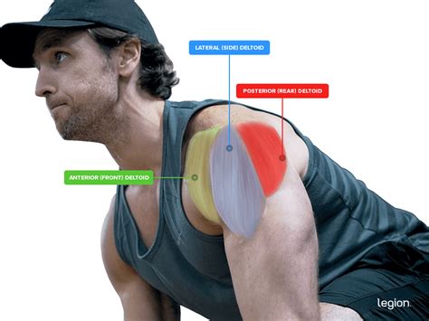 Perfect Front Delt Exercises For Bigger Shoulders Legion