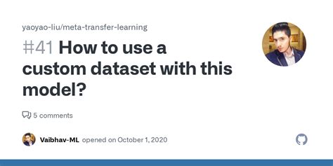 How To Use A Custom Dataset With This Model · Issue 41 · Yaoyao Liumeta Transfer Learning