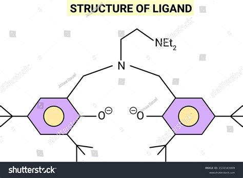 Structure Ligand Central Metal Atom Form Stock Vector Royalty Free