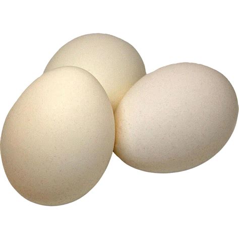 Buy Peacock Eggs Online All Across Uae Fresh Leaf Uae