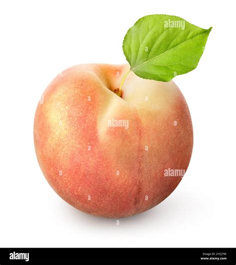 One Half Fresh Nectarine Cut Out Stock Images And Pictures Alamy