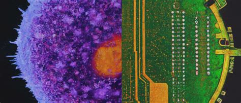 Hyperspectral Microscopy For Semiconductor And Cellular Imaging