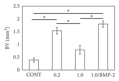 Analysis Of New Bone Formation In Mouse Femurs At 8 Weeks After Surgery