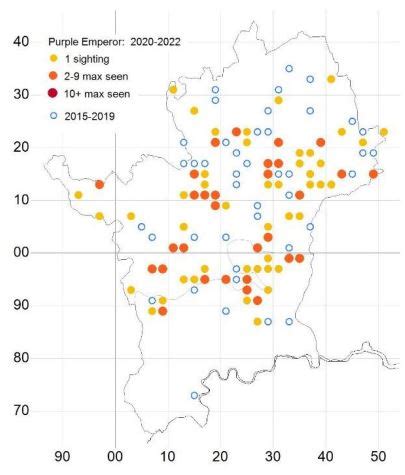 Purple Emperor Branch Distribution