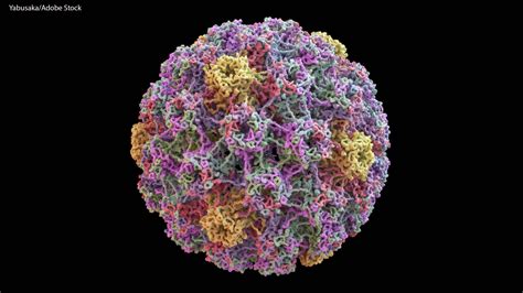 Hpv Positive Sinonasal Squamous Cell Carcinoma May Be Associated With