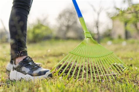 How To Fix Patchy Grass Install It Direct