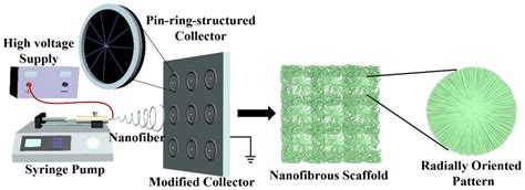 Electrospun Patterned Membrane