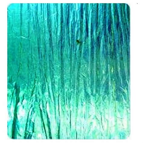 Fiberglass Sheet Fibre Glass Latest Price Manufacturers And Suppliers