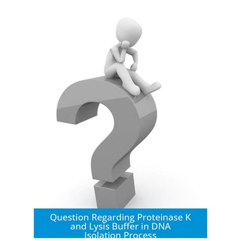 Question Regarding Proteinase K And Lysis Buffer In Dna Isolation Process Chemcafe — Science