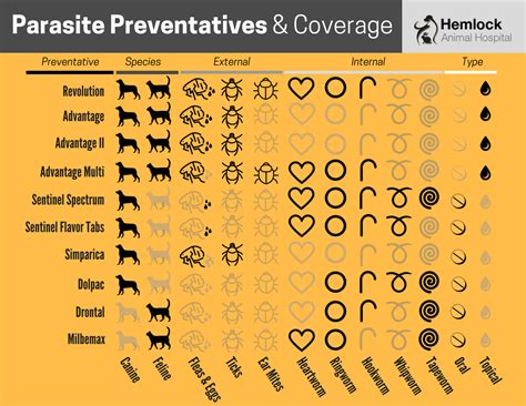 Cat Deworming Schedule Chart At Susan Pietsch Blog