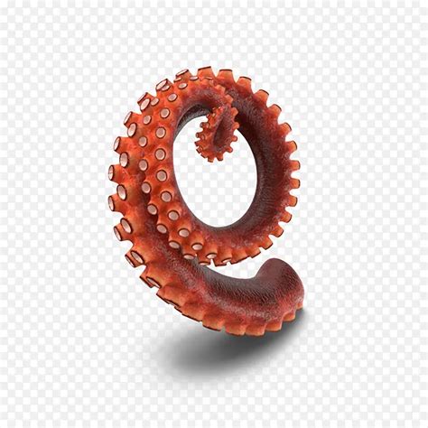 章鱼触手png图片素材下载图片编号9279741 Png素材网