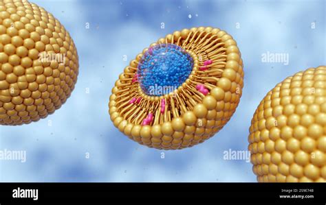 3d Rendering Of Nanomedicine Inside Of Liposome Lipid Bilayer With