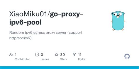 Github Xiaomiku01go Proxy Ipv6 Pool Random Ipv6 Egress Proxy Server Support Socks5