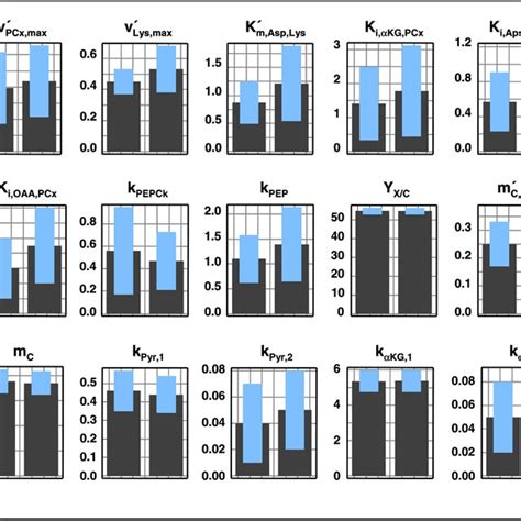 The Model Parameters And Error Estimations As Determined By A Single