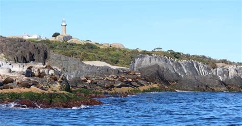 Deadly Bird Flu Found To Spread Between Mammals Raising Risk To