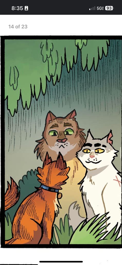 Some Of My Fav Little Things From The Into The Wild Graphic Novel