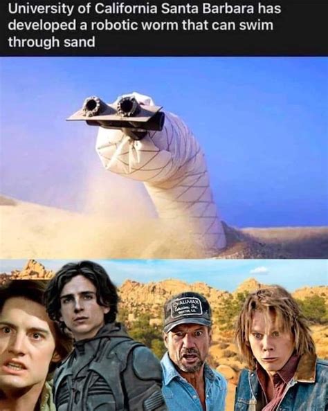 Logic Less Memes Wtf Stupid Thoughts With Strange Truth Captions