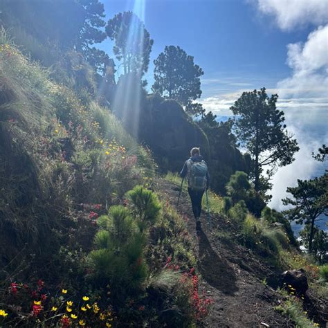 Olivia Plant On Linkedin Devops Performance Devops Capabilities