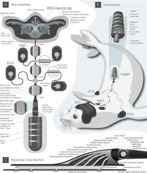 Custom Wire Assembly Attachment And Headcap Cross Section A Wiring