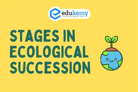 Ecological Succession Primary Secondary Succession