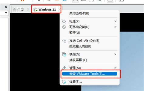 使用教程 Vm去虚拟化