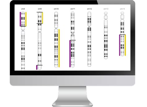 Homologous Recombination Deficiency Hrd Testing Bionano