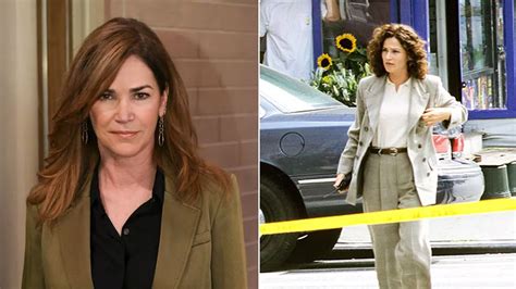 Nypd Blues Kim Delaney Faces Criminal Charges And Civil Lawsuit For