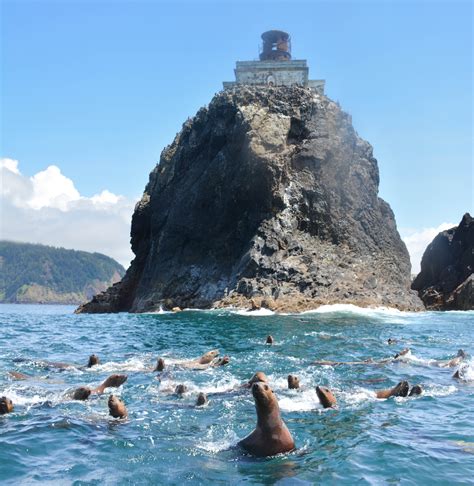 Terrible Tilly Oregons Tillamook Rock Lighthouse