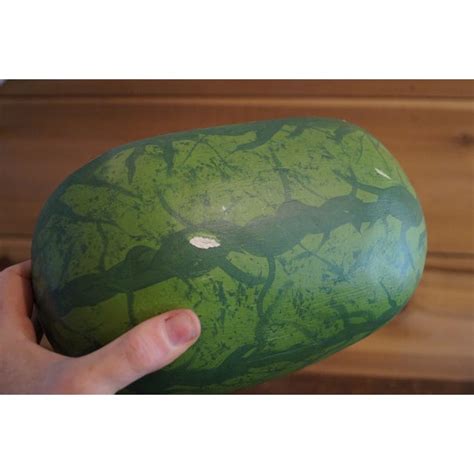 1980s Folk Art Watermelon Sculpture Attributed To Felipe Archuleta Chairish