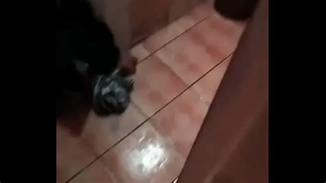 Premium 10 Hottest Bathtub Blowjob And Doggystyle Sex And Handjob Untill