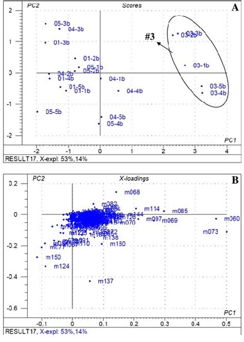 A The Pca Score Plot Of The Py Mbms Spectra Of Samples 1 3 4 And 5 Download Scientific